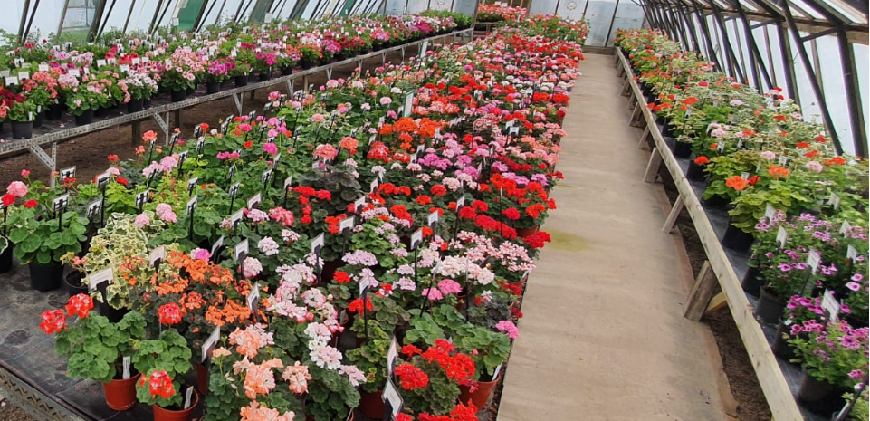 Fibrex Nurseries Ltd