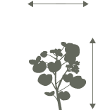 Ashby – Fibrex Nurseries Ltd